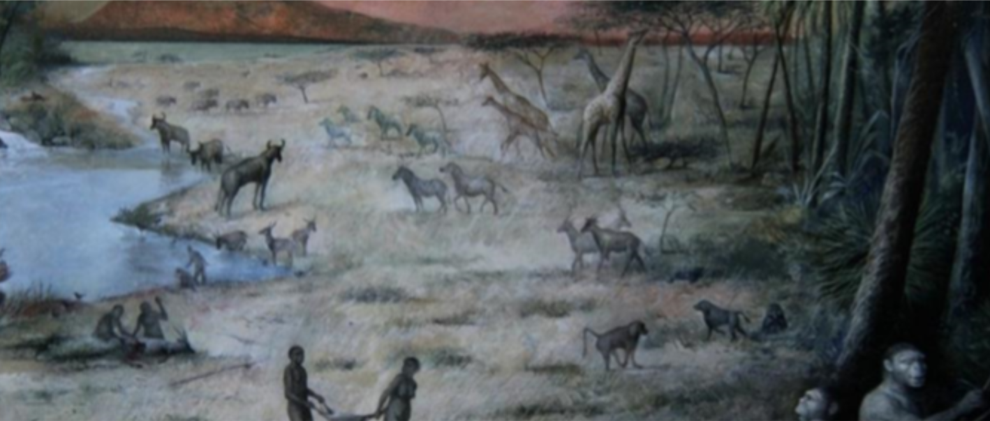 Les premiers Hommes – Fete de la Science de l'Arbois 2020